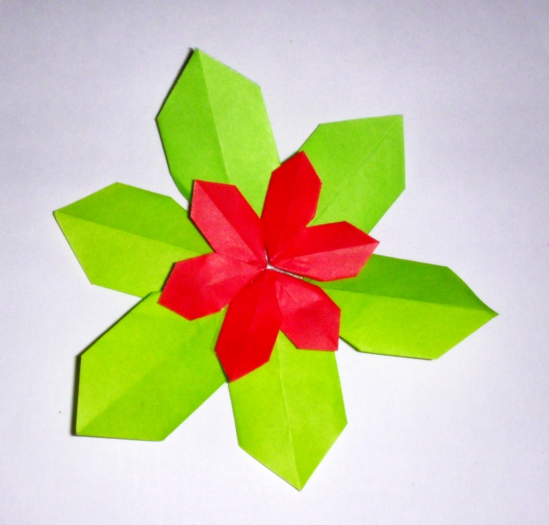 origami-origami-poinsettia