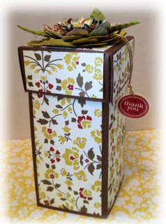 Something 4 Everyone Cards and Crafts: Stepper Box w/compartments