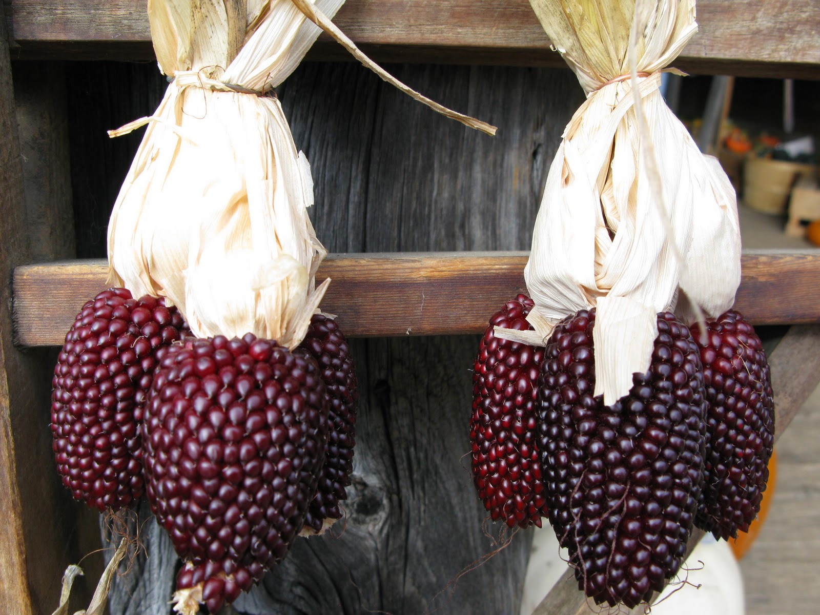 Cépage et Cuisine: Autumn in the Berkshires – October 23, 2011