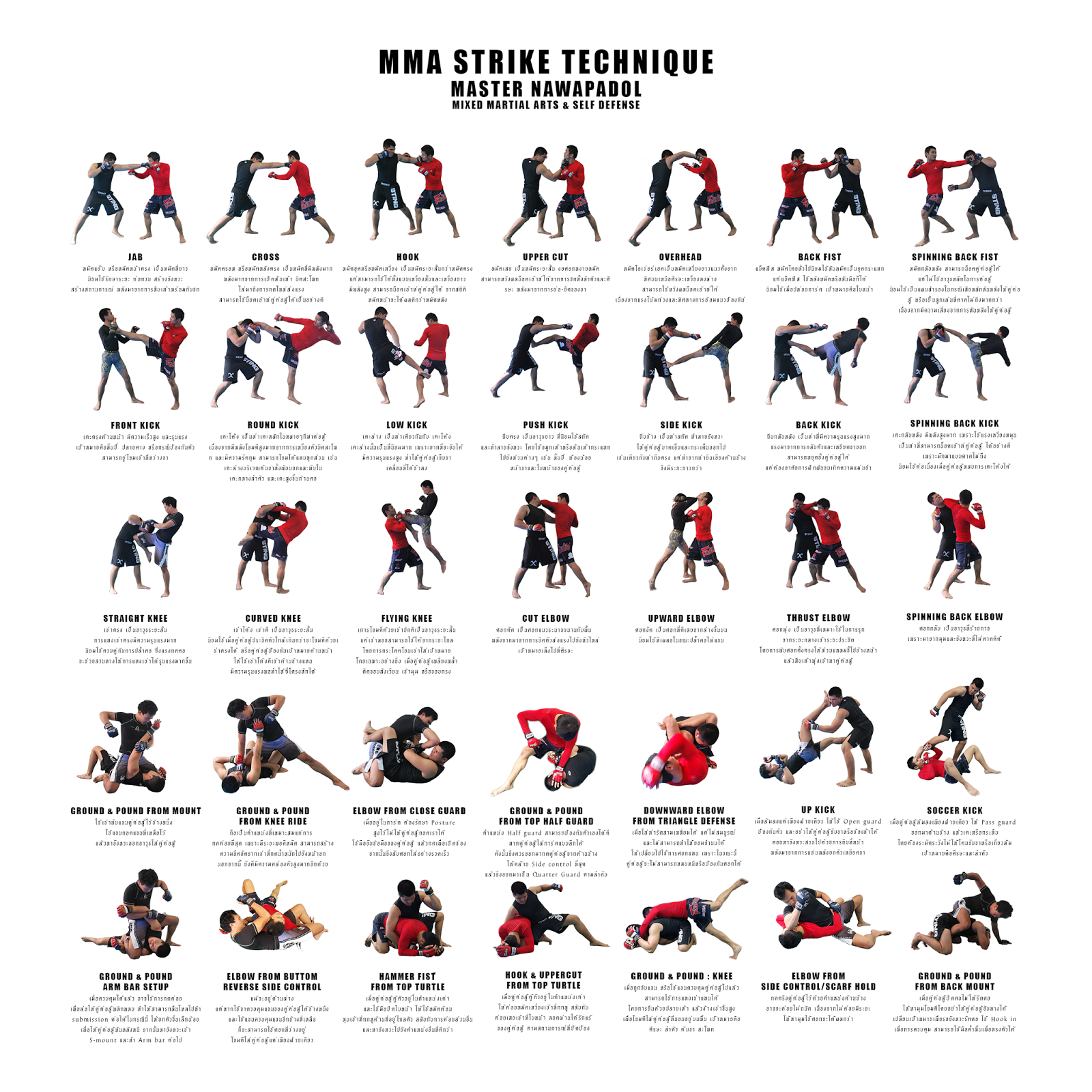 สอนต่อสู้ป้องกันตัว ด้วยศิลปะการต่อสู้แบบผสมผสาน (MMA)