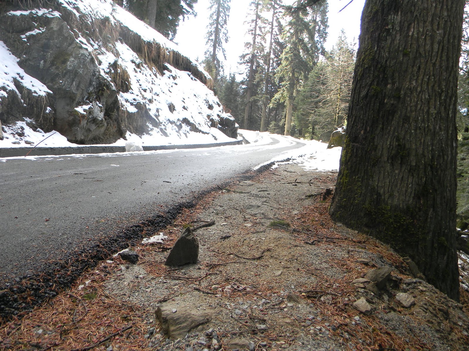 UNEDITED WALLPAPERS OF NATURE