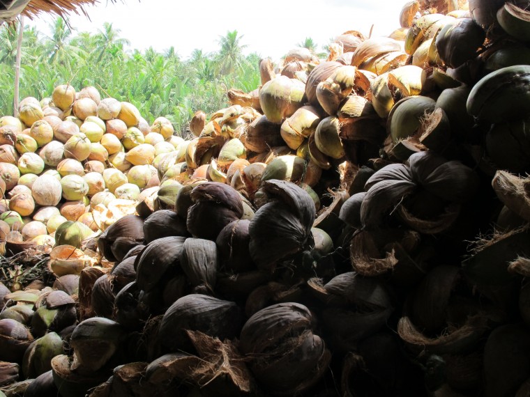 Xin chao!: BEN TRE - THE WORLD OF COCONUTS