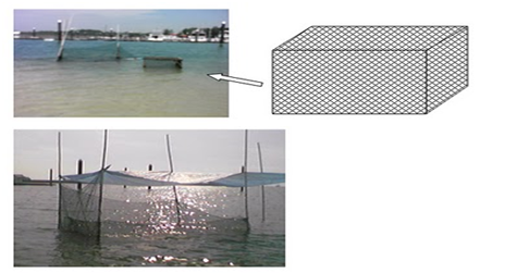 Bubu Apolo - test template Kumparan Ori