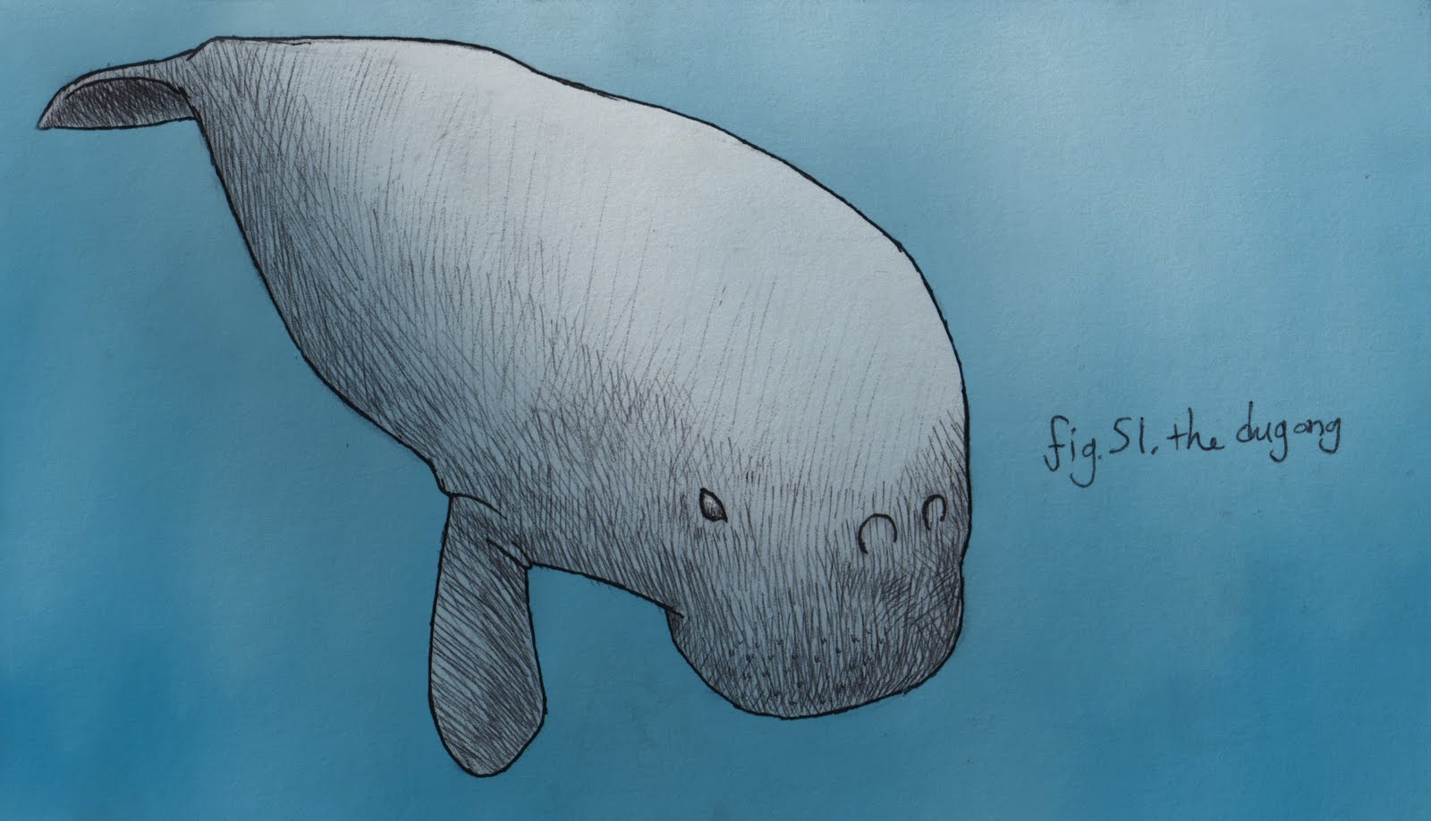 Jun Makes Stuff: #67 The Dugong