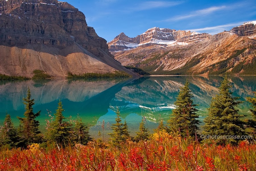 The 15 Astonishing Views of Bow Lake Alberta - The Stuff Makes Me Happy