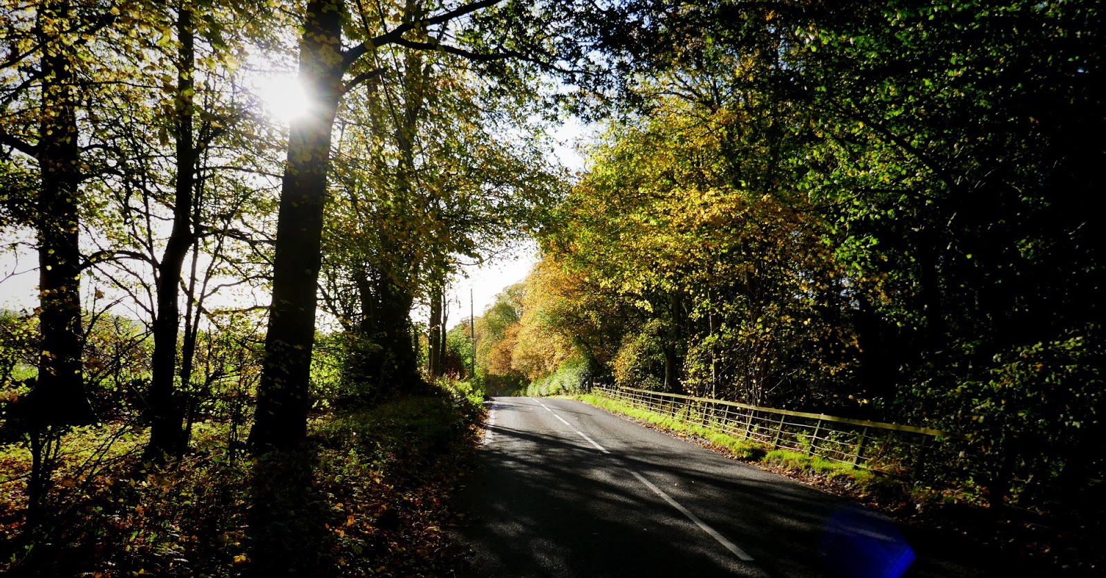 best part of the day: Tweed Valley Ultra Recce and Oct TB