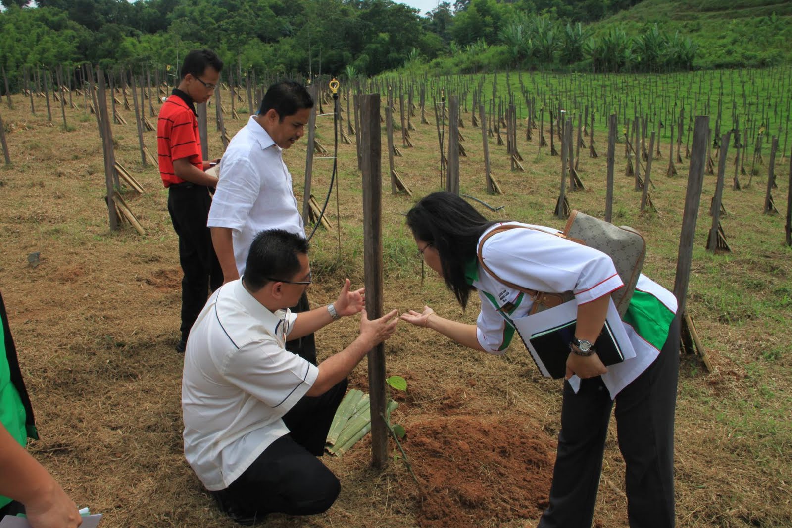 YB DATUK MOHD TAJUDIN ABDULLAH: Lawatan ke Ladang Lada Hitam/Putih oleh ...