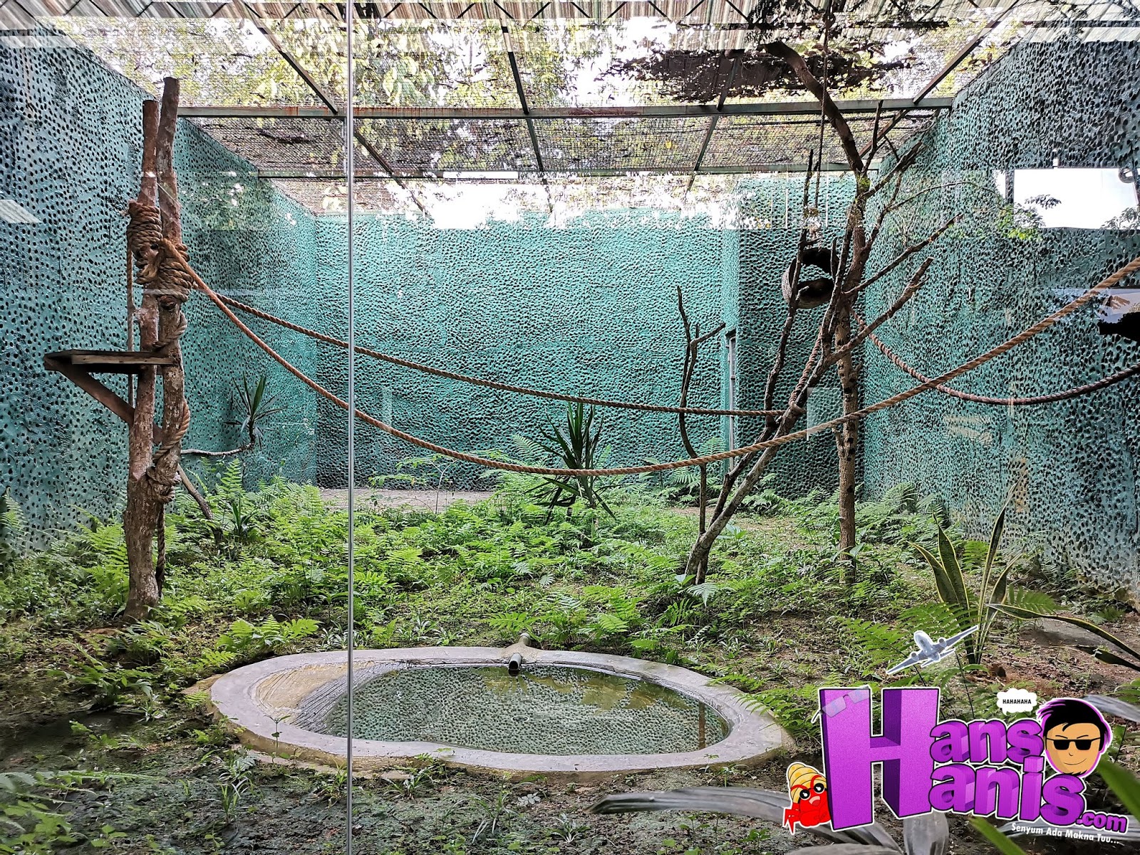 Tarikan Menarik Di Safari Park Bukit Gambang