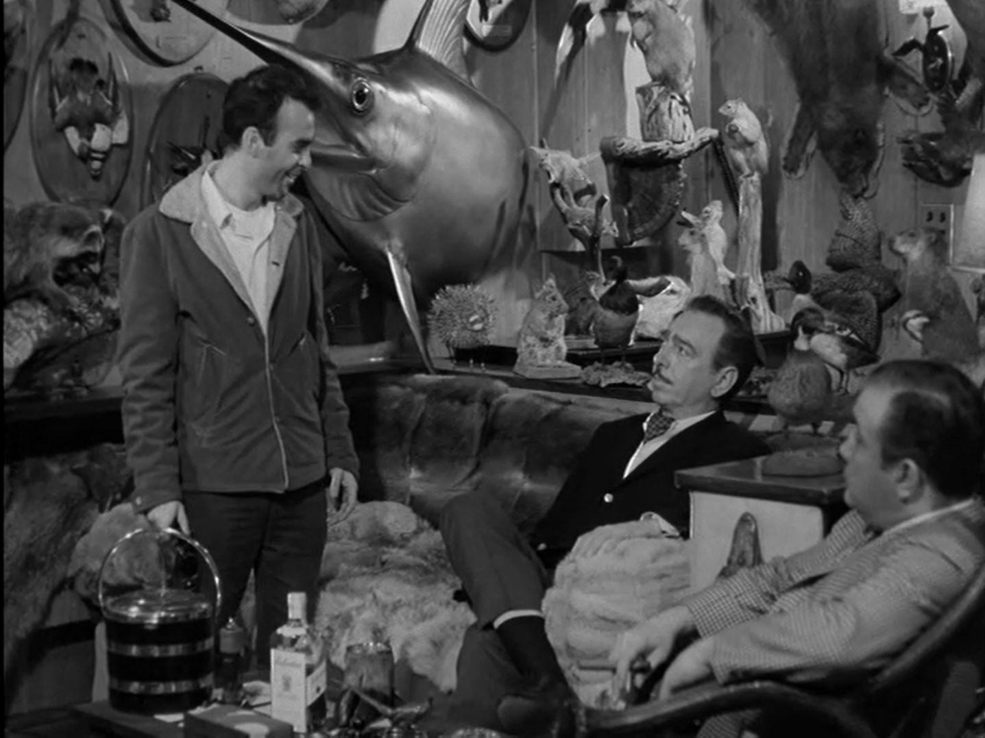 Noirsville - the film noir: Confessions of a Psycho Cat (1968 ...