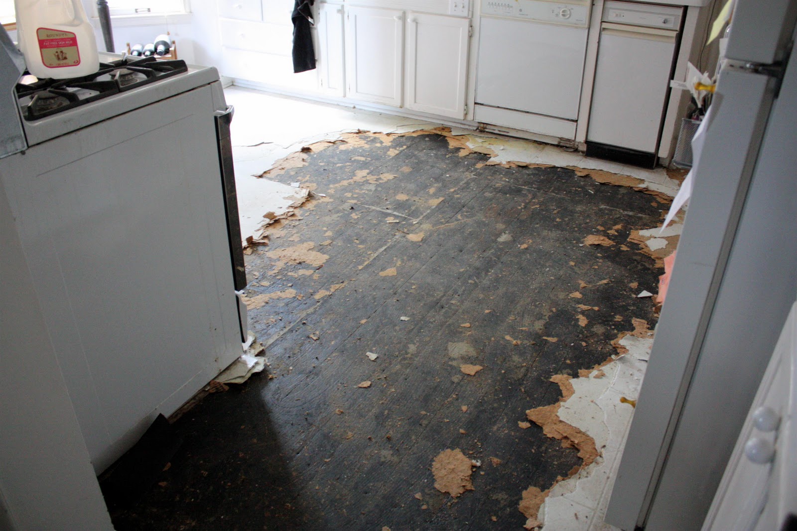 Russet Street Reno: Kitchen destruction pt 2