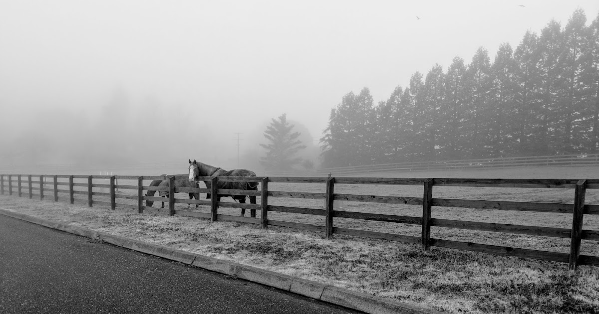 Logout Misty Morning logout-misty-morning