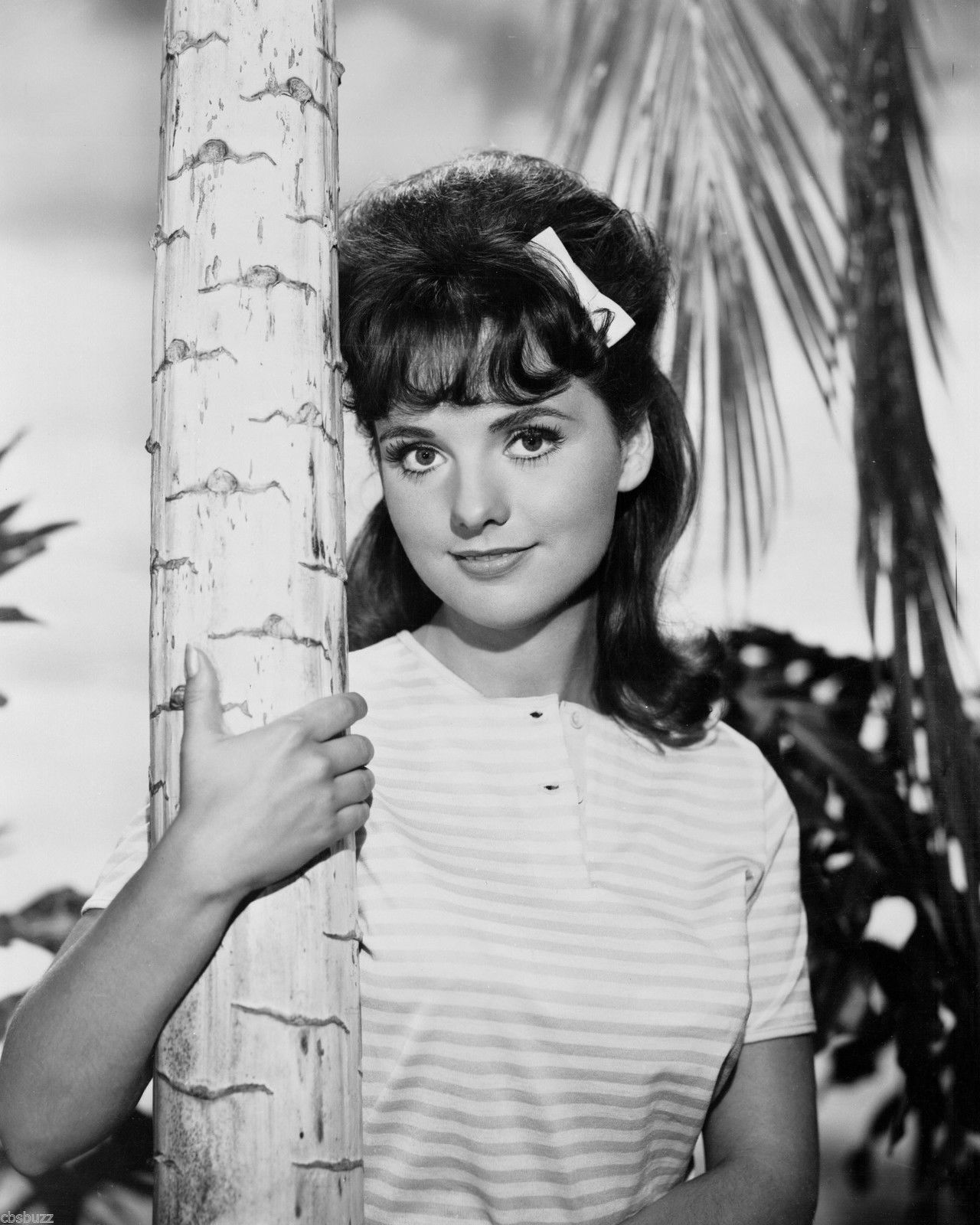 Tralfaz: Life With Dawn Wells, On and Off an Island