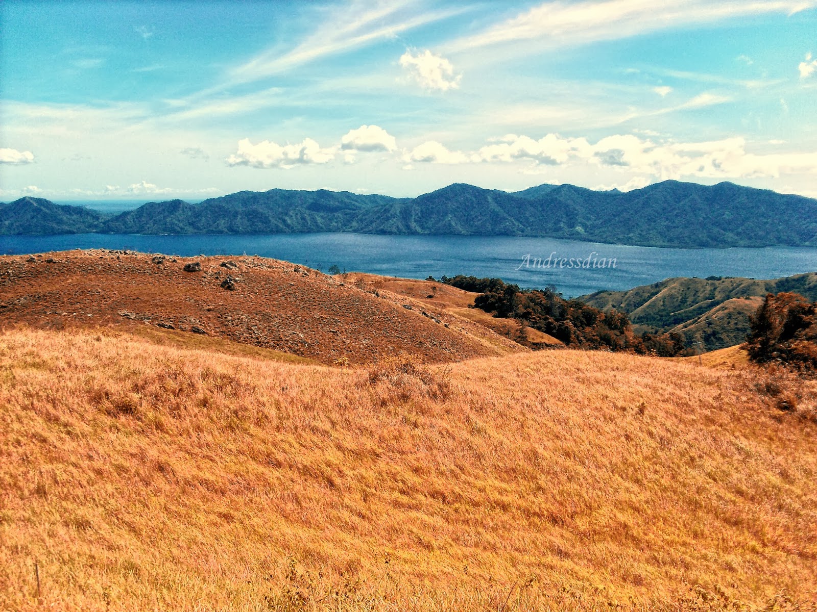 BALAI KONSERVASI SUMBER DAYA ALAM SULAWESI TENGAH: koleksi fotoku