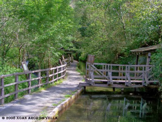 XOAN ARCO DA VELLA: MUIÑOS DE MAZONOVO - TARAMUNDI