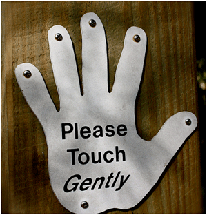 Positive Politeness Strategies (Brown and Levinson) | Awin Language