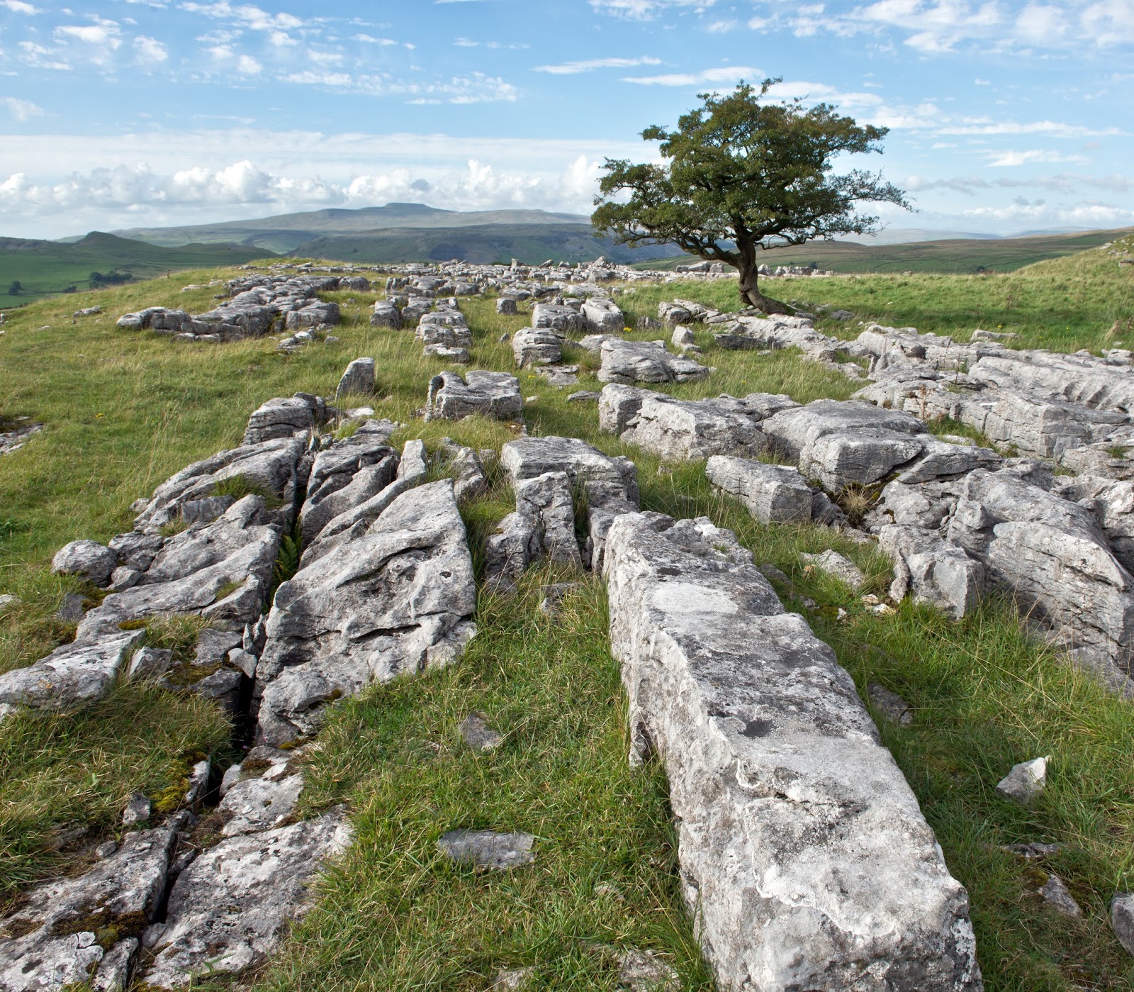 Wigtwizzle - Norman Smith's Travel Blog.: Winskill Stones