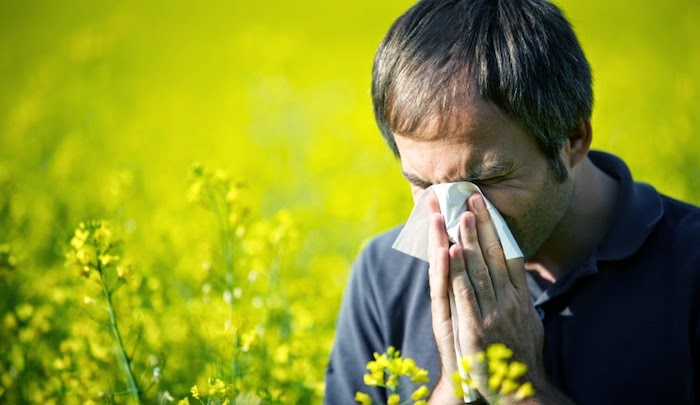 Source ONE Nutrition: Fall Foods to Fight Cold and Flu