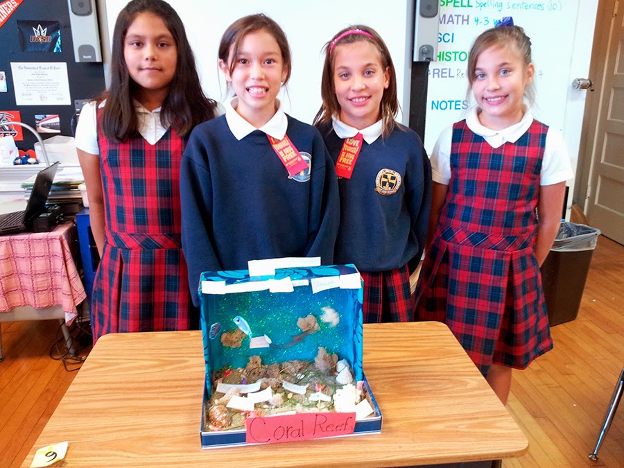 Coral Reef Ecosystem 4th Grade