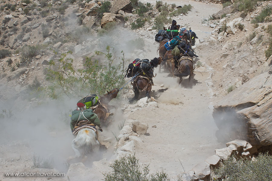 TRAVEL WITH ME: Havasupai, Grand Canyon, AZ (Part 1. Supai Village)