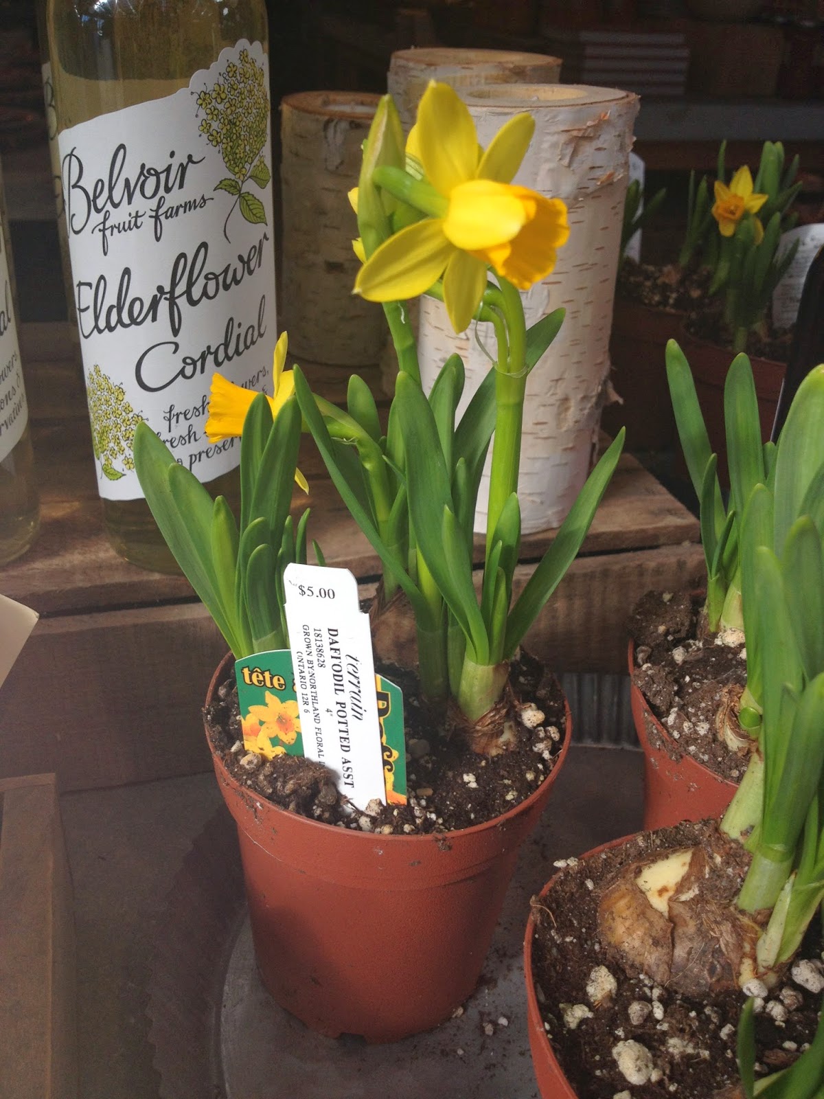 Stone Hill Farm: Happy First Day of Spring: Terrain