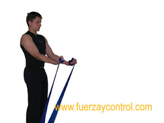 Biología de 1 de Bachillerato: La contracción muscular