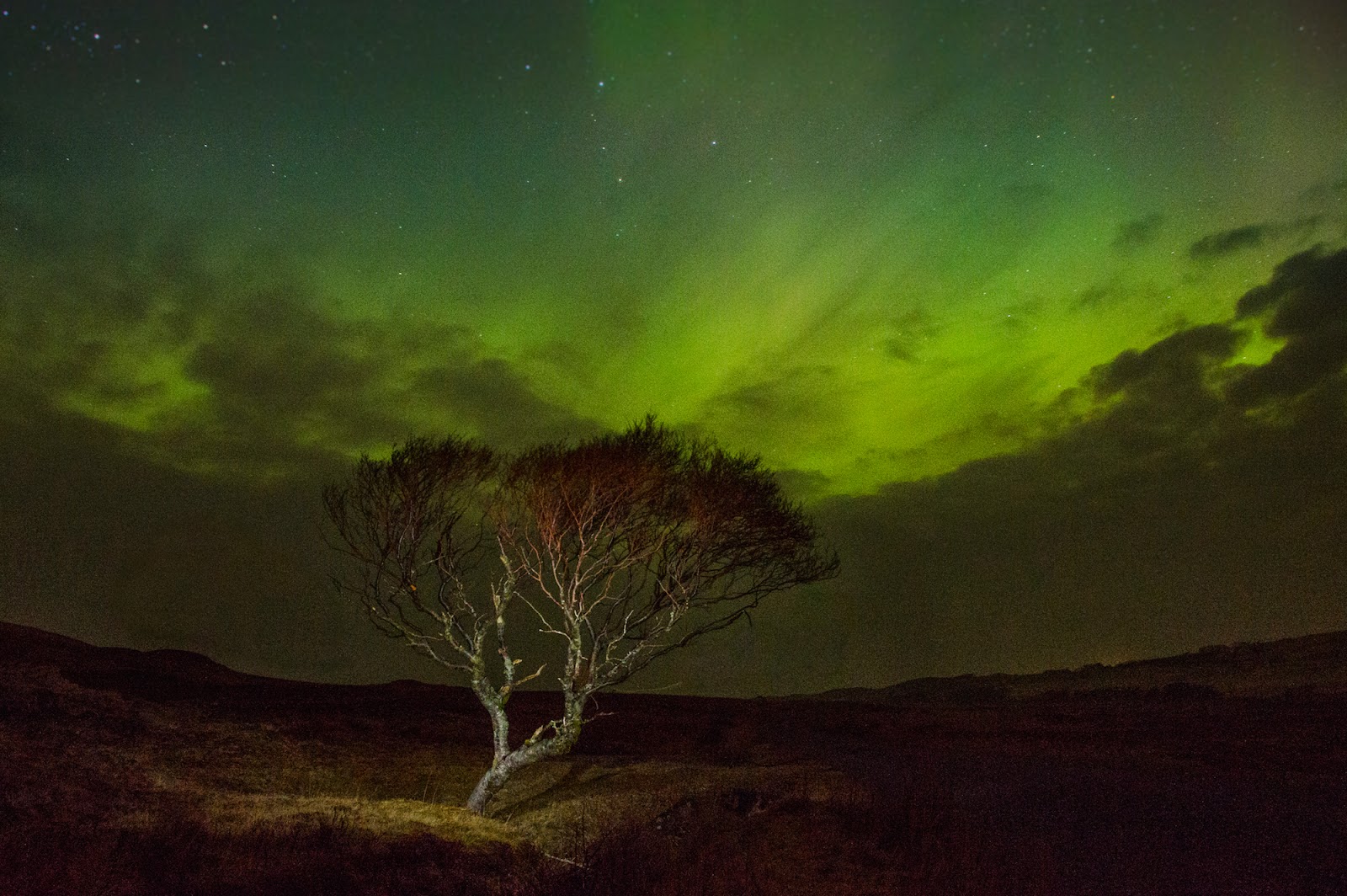 A Kilchoan Diary: More Aurora Pictures