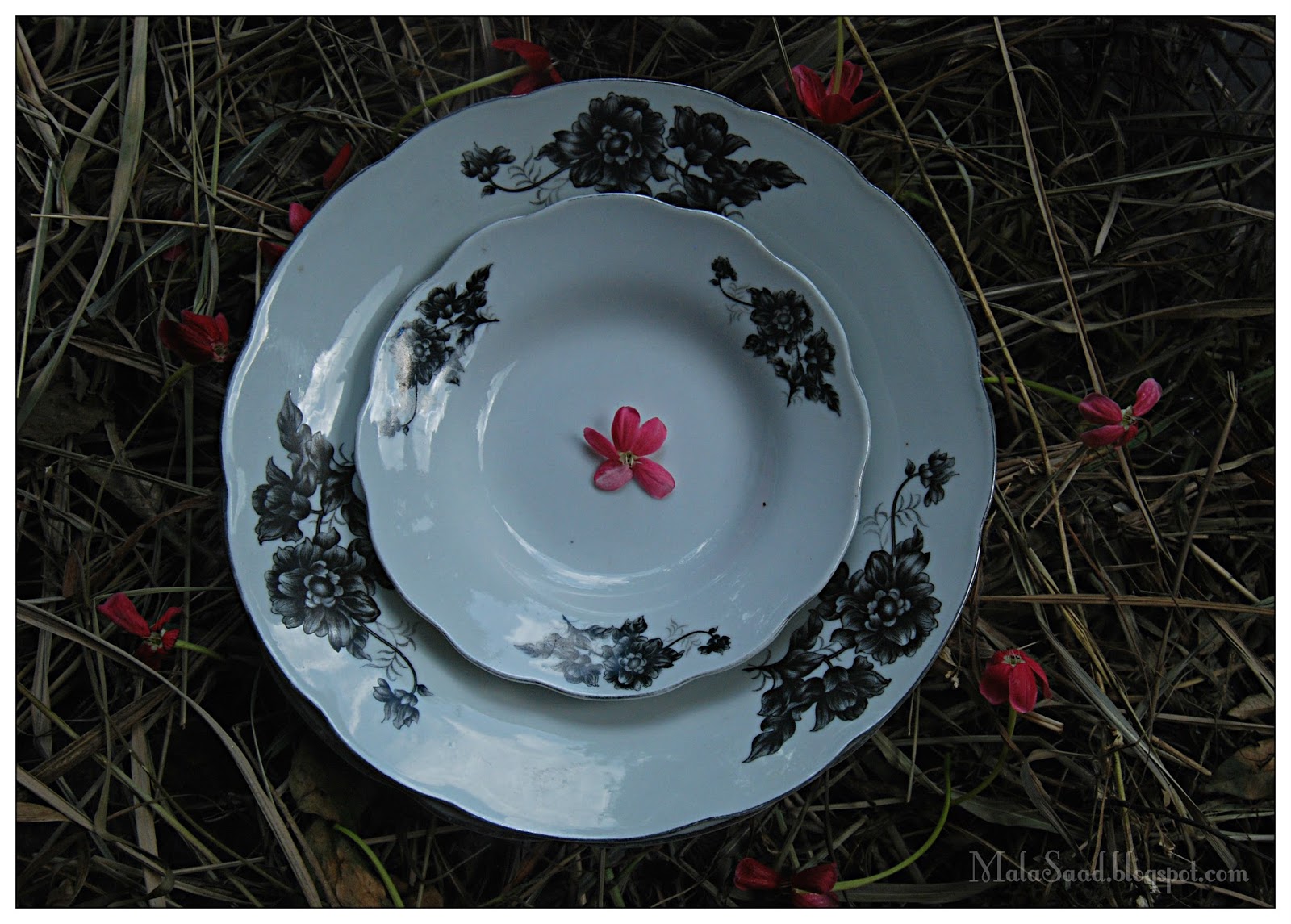 My Green Eye's: Nostalgia Pinggan Lama