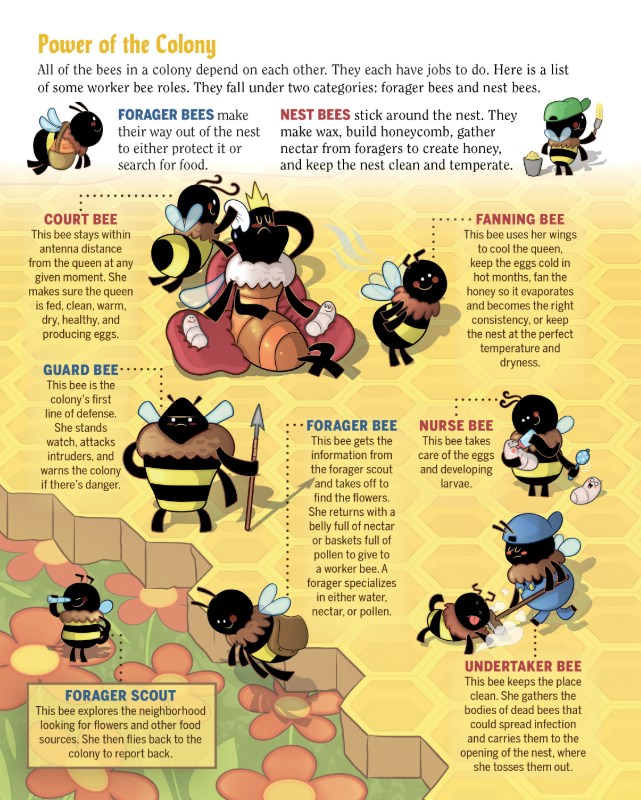 Bird Meets Worm: Super Star Interviews: Lynn Brunelle & Anna-Maria Jung