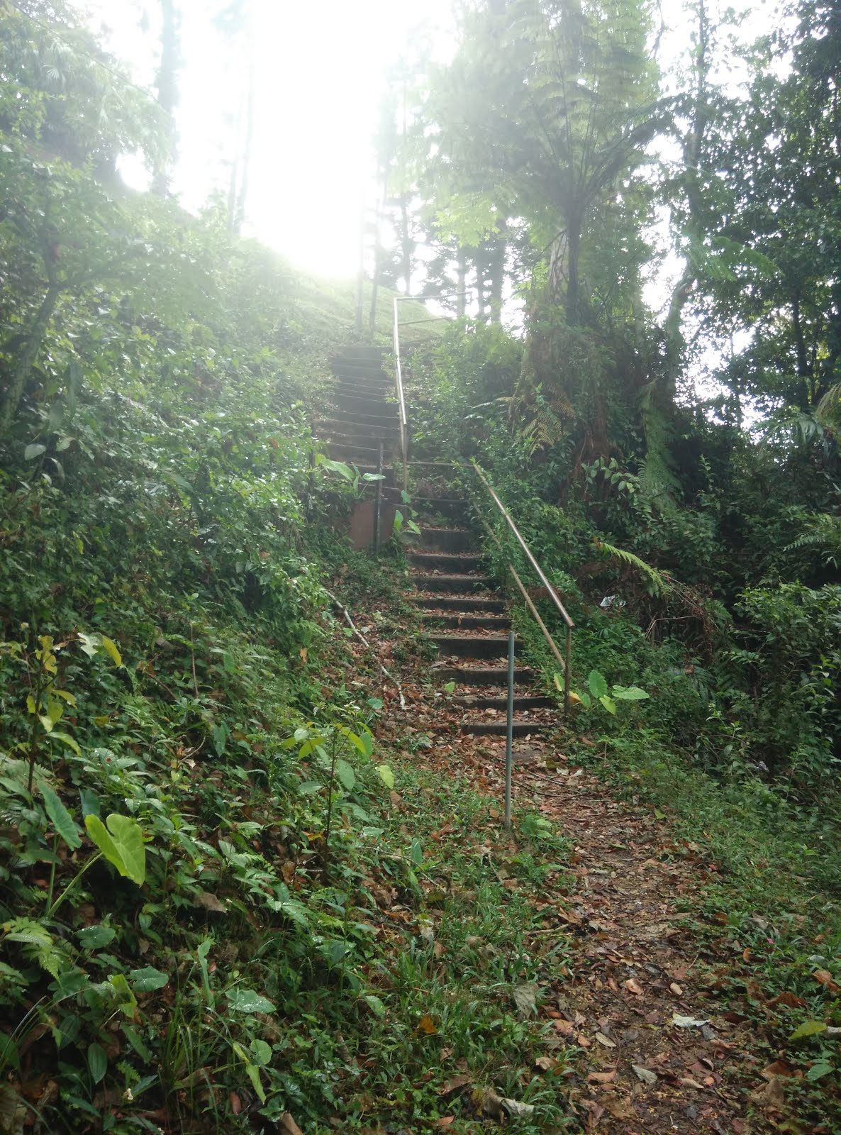 Trail Running In Penang: Penang Hill Via Heritage Trail