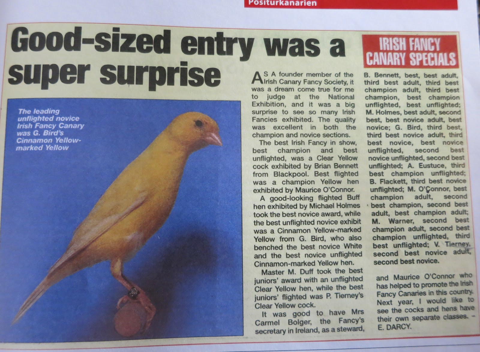 Canary Tales: Catching Up On My Reading - Irish Fancy