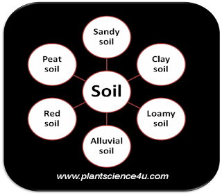 Soil Types: Sandy soil, Clay soil, Loamy soil, Alluvial soil, Red soil ...