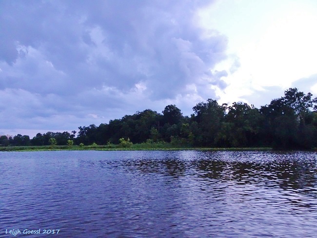 Photos on Friday: Scenes from the Occoquan River | Things to See and Do ...