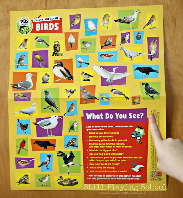 Tips for the Great Backyard Bird Count with Kids | Still Playing School