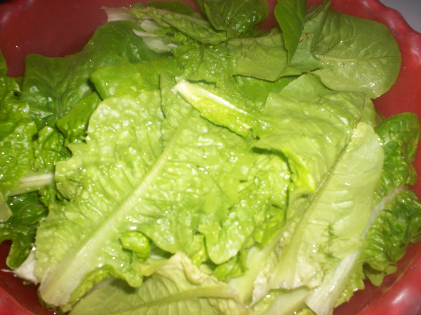 "La huerta en mi escuela": Cosechamos "Lechuga".