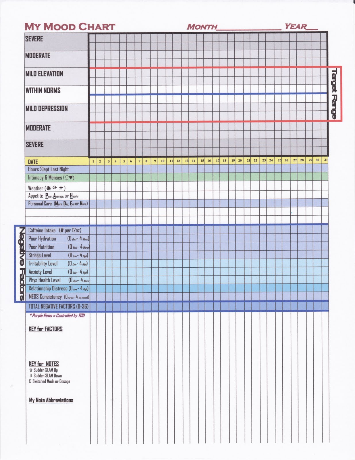 The Mazing Manic Mind