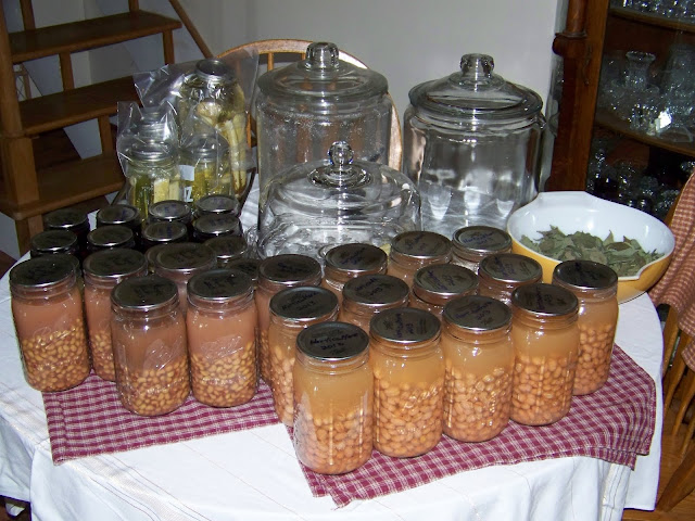 Hickery Holler Farm: The Bean Patch