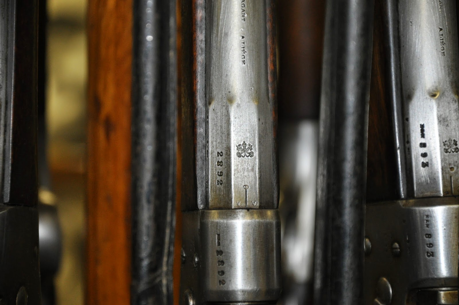 Orbis Catholicus Secundus: Swiss Guard Rifles