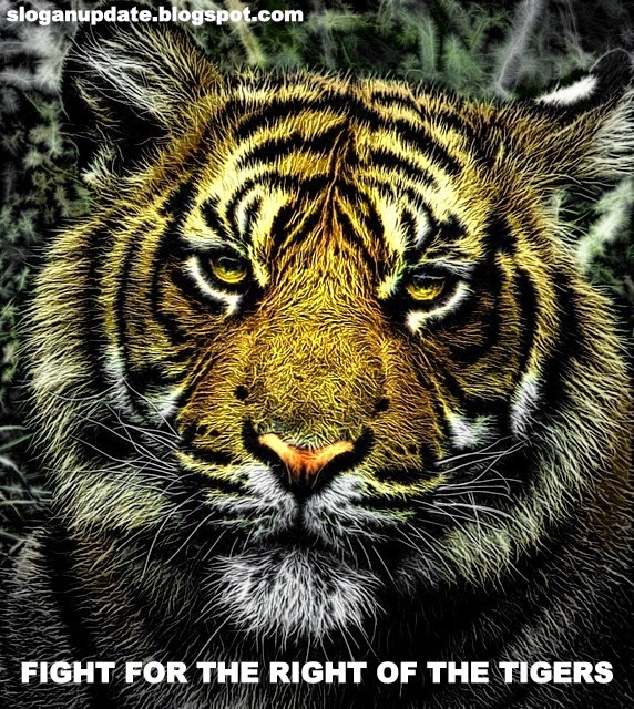 Slogan on Tiger | SloganUpdate