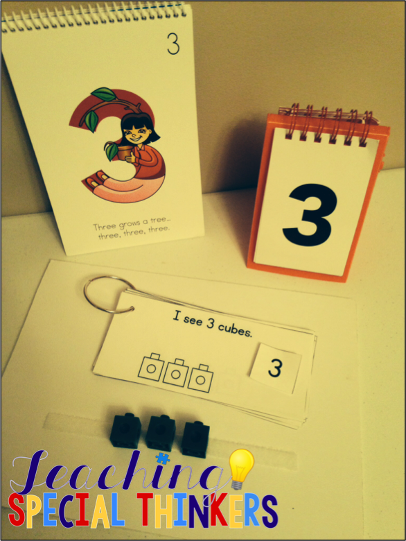 Let’s Learn Numbers! - Teaching Special Thinkers