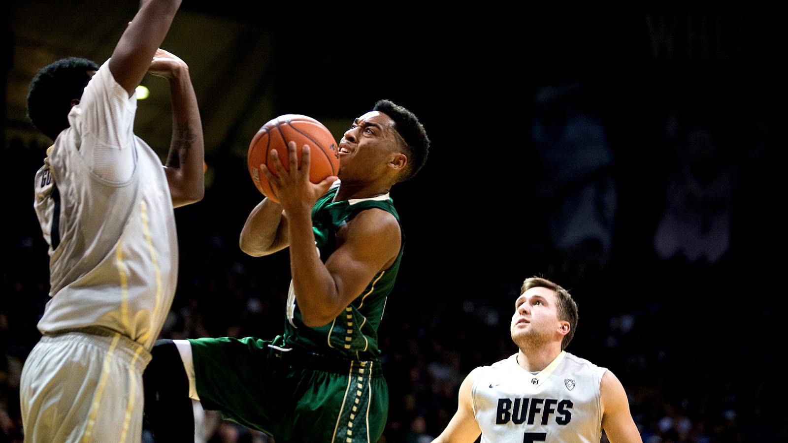 2014-15 Colorado State Rams men's basketball team - Basketball Choices