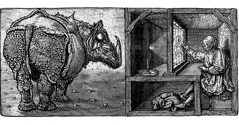 U T I S Z: THE RHINO AGAIN