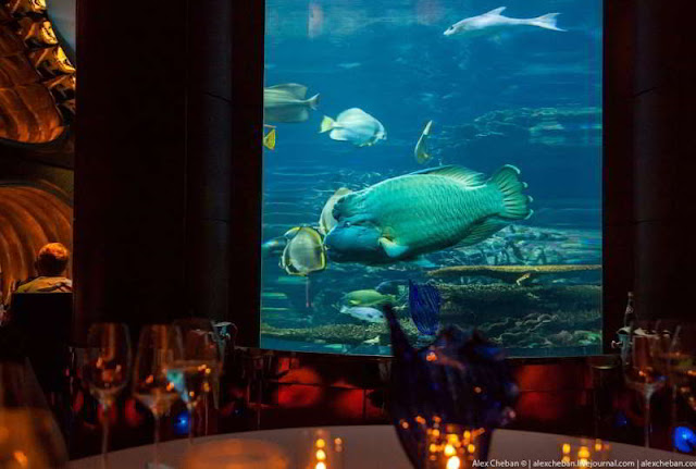 Al Mahara: Δείτε το υποβρύχιο εστιατόριο του Burj Al Arab! – διαφορετικό