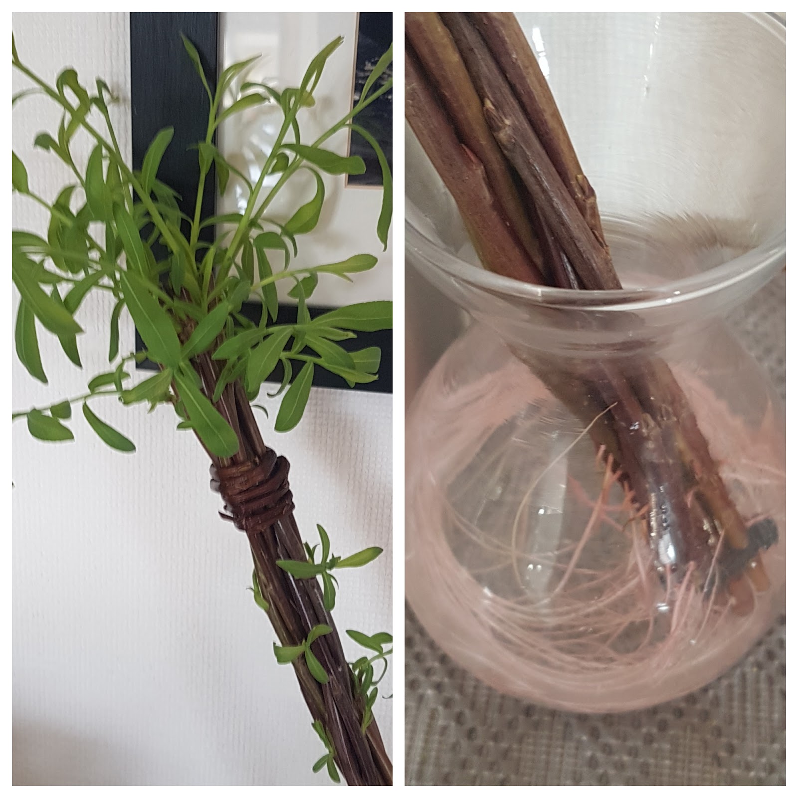 Maribels Garden: Trädgården i April.