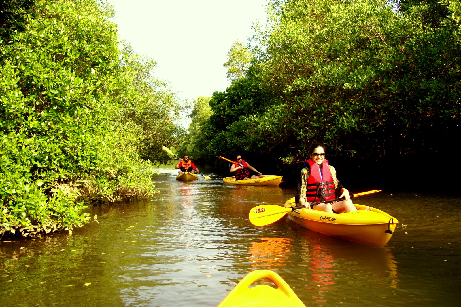 goakayaking: The Nerul River Paddle