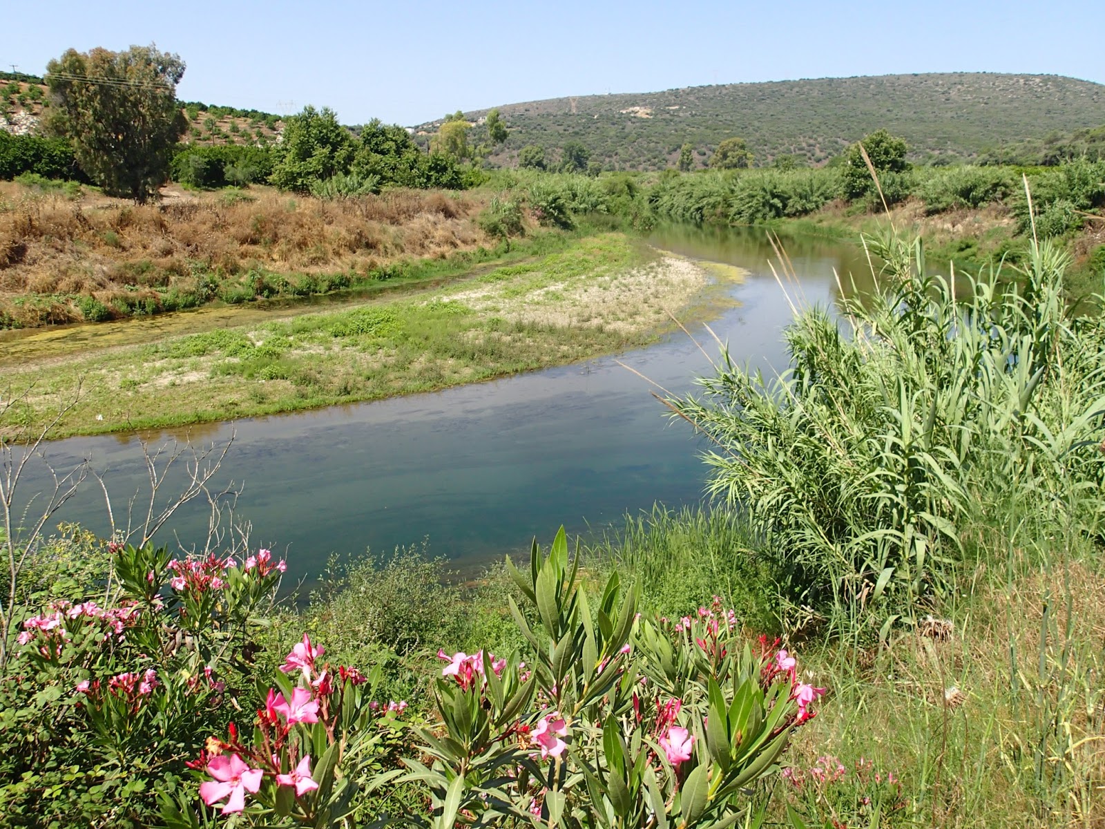 Athens Nature Journal: Evrotas River Delta: Natura 2000 habitat mapping