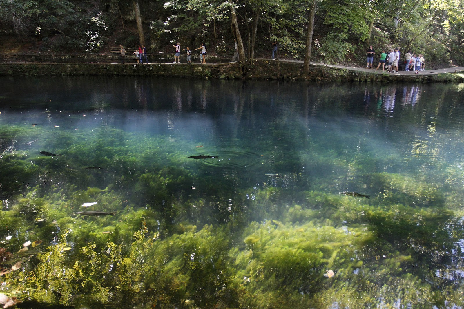 slices of my life: Maramec Spring Park