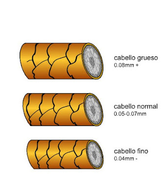 El Cabello: Parte II