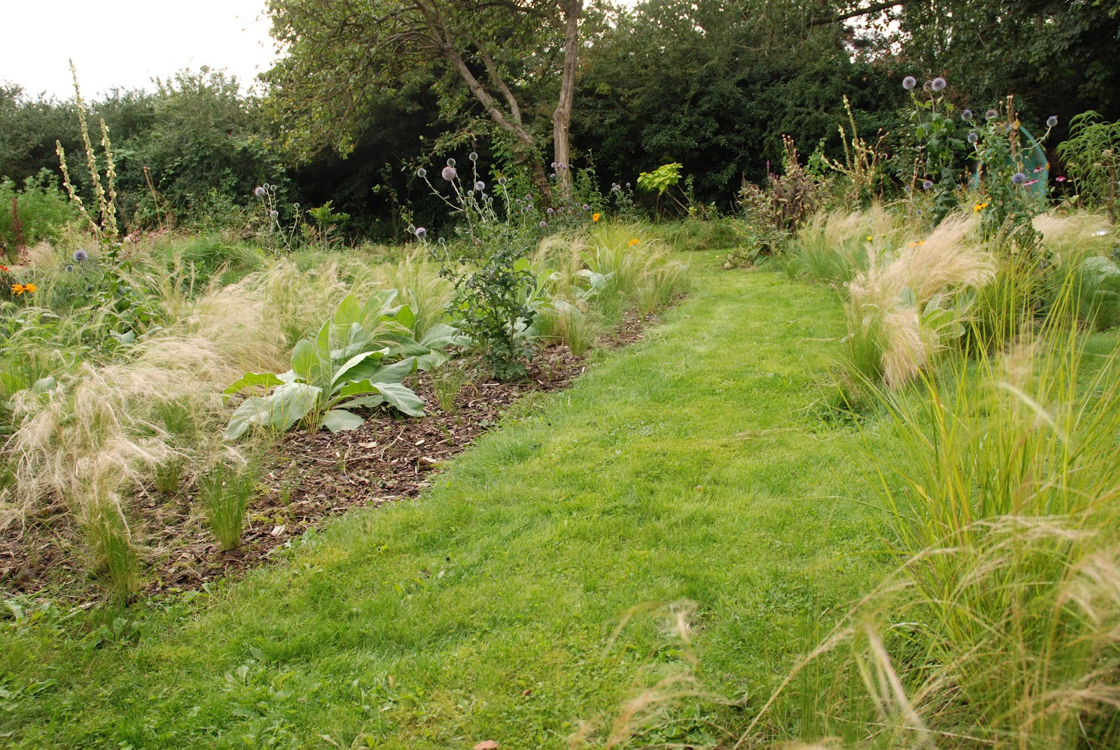 The Prairie Borders - the story thus far