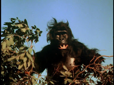 Arena Of The Unwell: gorgeous gorga.