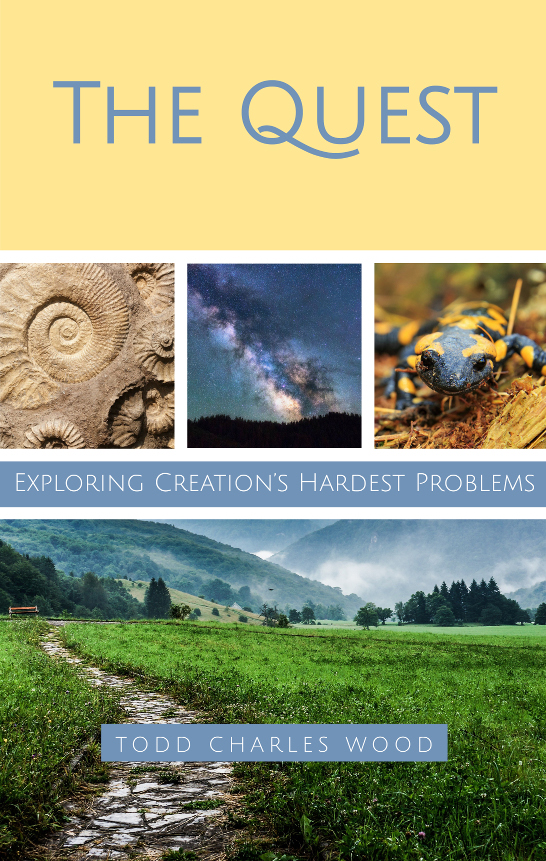 New book The Quest is available!